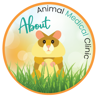 Animal Medical Clinic | Bristol, TN 37620 > About Us > Dr. Mark Riehl